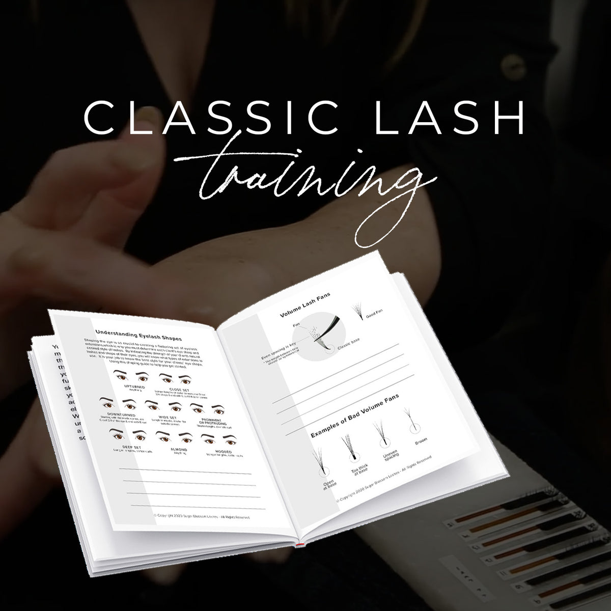 Introduction to Classic Lash Training Course – shop.sugarblossomlashes